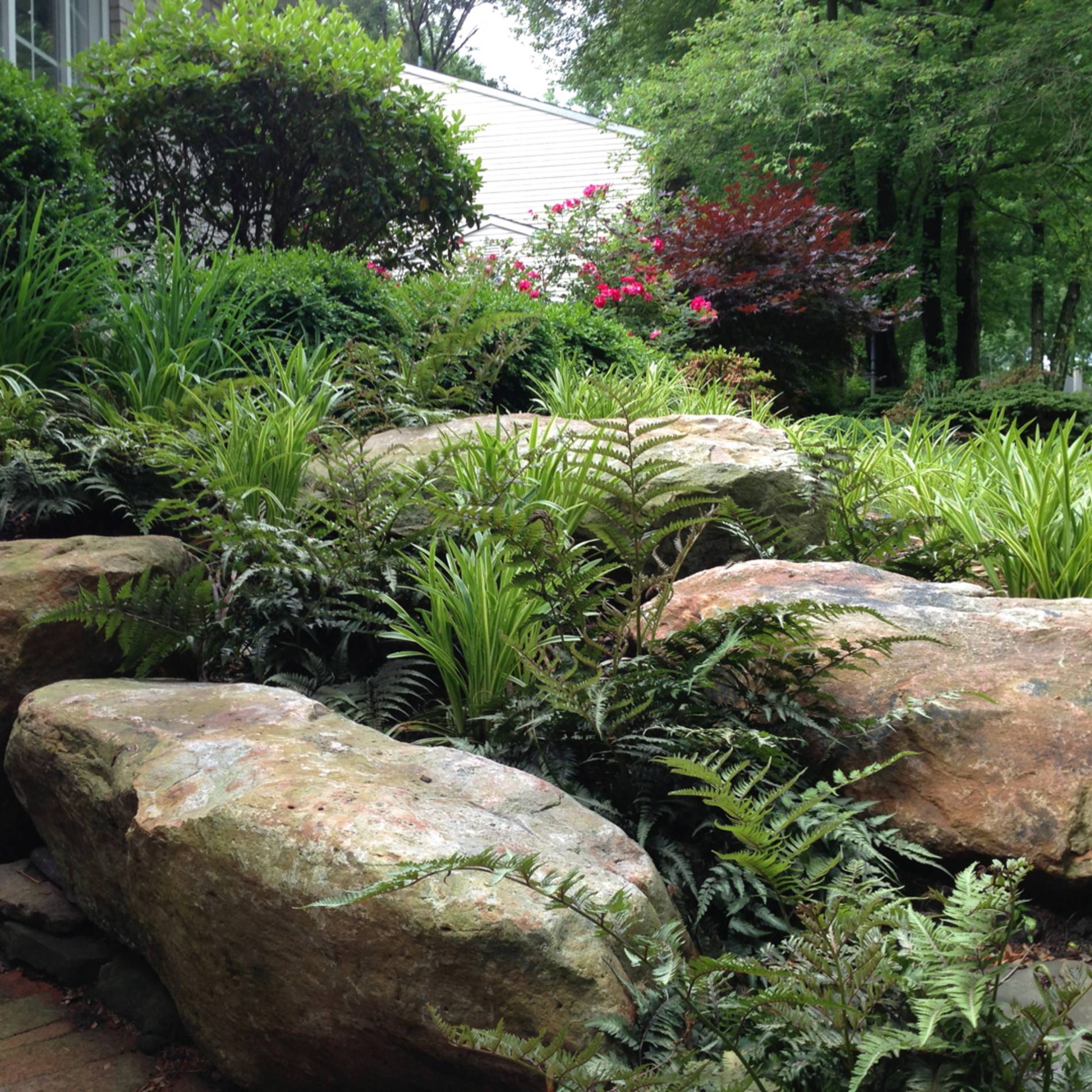 8 Front Yard Landscape Ideas For 2021 - Plant Design Group