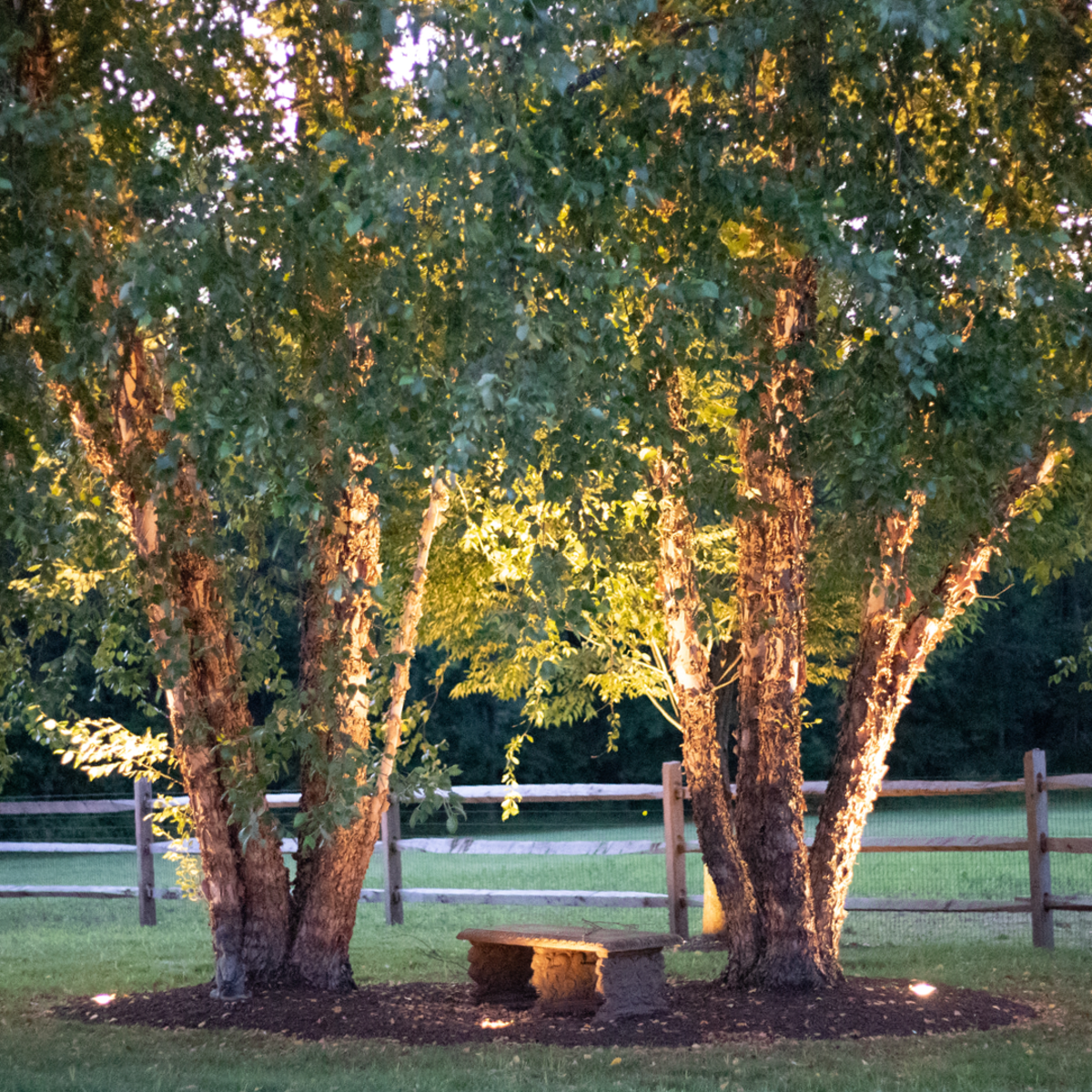 18 Landscape Design Ideas For Inspiration In 2021 (w/ Pics & Easy Read ...